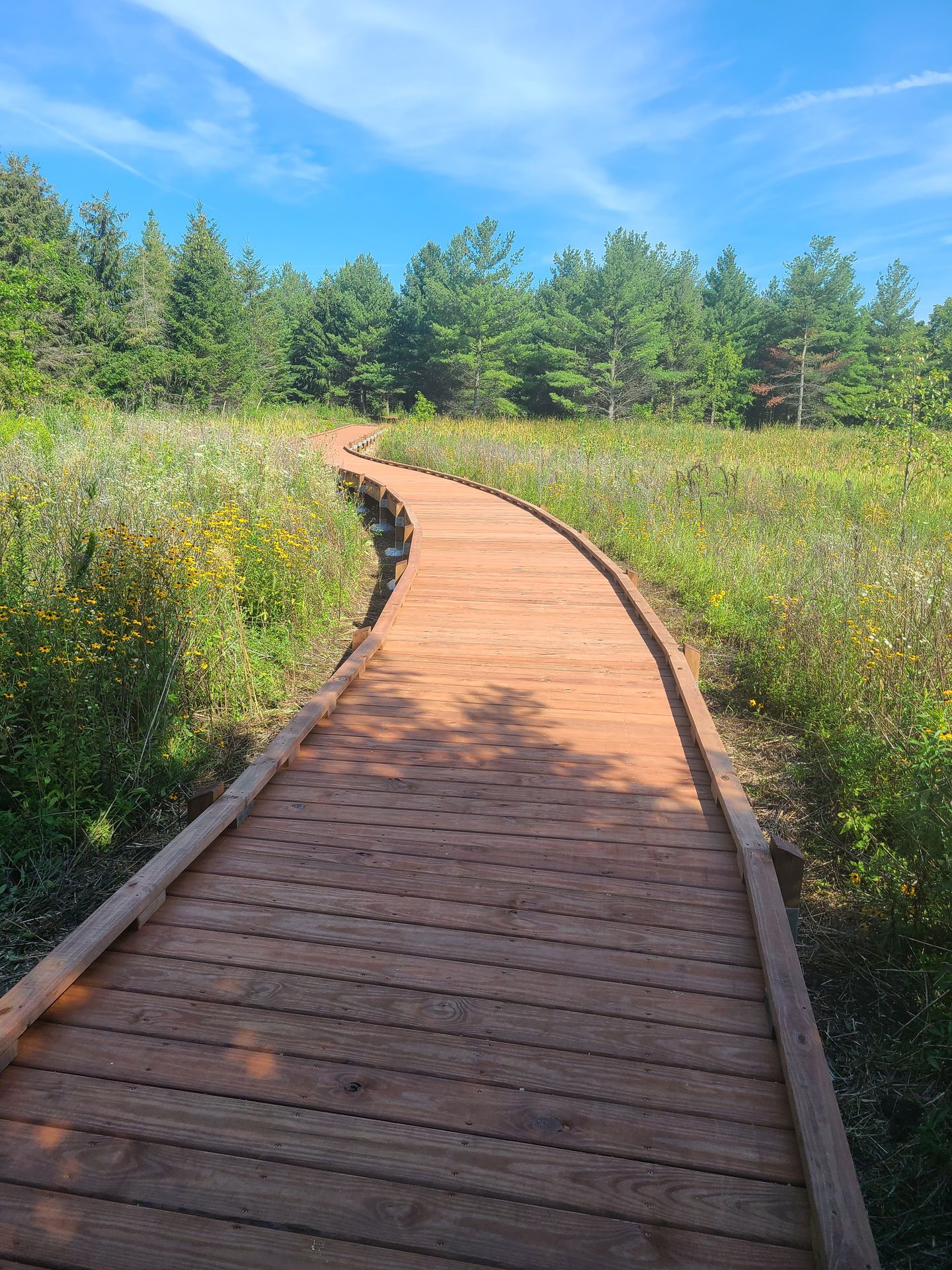 Modular Boardwalk Construction - Pan Supported Boardwalk System